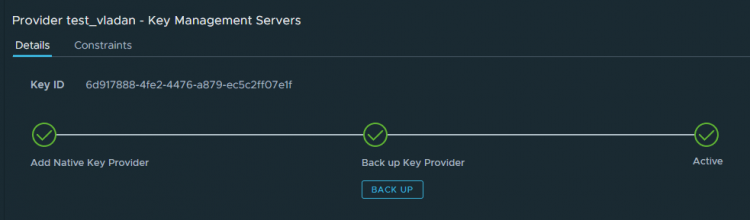Create VMware Golden Image for Windows 11