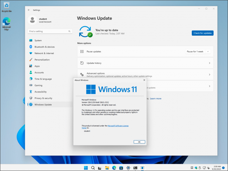 Create VMware Golden Image for Windows 11